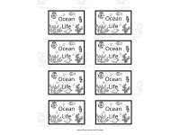 Ocean Life Game Cards by Teach Simple