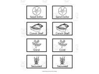 Ocean Life Game Cards by Teach Simple