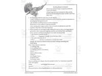 OWLS IN THE FAMILY NOVEL STUDY Gr. 3-6 by Teach Simple