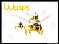 PE Grouping Signs + Cards: Insects Theme by Teach Simple