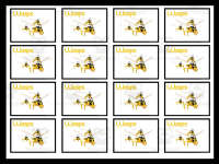 PE Grouping Signs + Cards: Insects Theme by Teach Simple