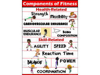 PE Poster Visuals: Components of Fitness by Teach Simple