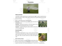 Pesticides - Science Reading Article - Grades 5-7 by Teach Simple