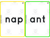 Phonics CVC Words Flashcard SATPIN by Teach Simple