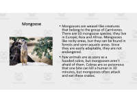 Physical Education Game: Cobras and Mongooses by Teach Simple