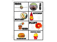 Picture Match Partner Cards by Teach Simple