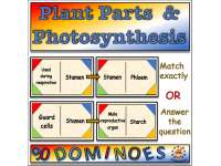 Plant Anatomy and Photosynthesis Dominoes Game - Middle School Science ...