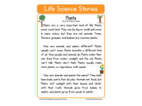 Plants Life Science Reading Comprehension Worksheet by Teach Simple