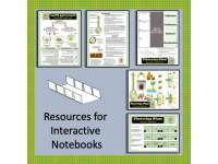 Plants - Pollination to Germination - Flowering Plant Life Cycle by ...