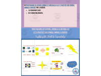 Practiquemos En Espanol: Animales & Naturaleza (Let's Practice Our ...