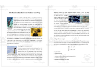Predator-Prey Relationships Reading Comprehension Article by Teach Simple