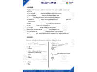 Present Simple | Beginner Lesson Plan by Teach Simple