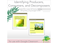 Producer Consumer Decomposer - Digital Mini Lesson Practice by Teach Simple
