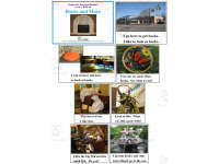 Progressive Emergent Readers, Level 1, Books 1 - 20 by Phonics ...