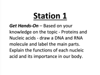 Proteins and Nucleic Acids – Lab Station Activity by Teach Simple
