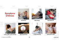 Real World Life Skills - Self-Sustainability Skills: Stress Management ...