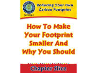Reducing Your Own Carbon Footprint: How To Make Your Footprint Smaller ...