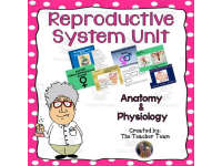 Reproductive System Unit by Teach Simple