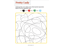 Respecting the Environment: Farm Activity Pages by Teach Simple