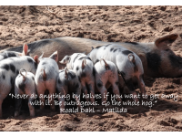 Roald Dahl Quote Posters by Teach Simple