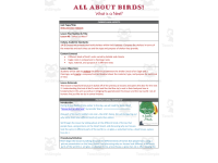 Science Lesson Plan: What Is A Bird's Nest? by Teach Simple