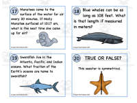 Sea Life Math Task Cards by Teach Simple