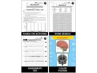 Senses, Nervous & Respiratory Systems: Spinal Cord and Nerves Gr. 5-8 ...