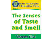 Senses, Nervous & Respiratory Systems: The Senses of Taste and Smell Gr ...