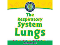 Senses,Nervous & Respiratory Systems: The Respiratory System - Lungs ...