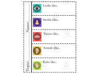 Sensory Poetry Writing | Posters & Graphic Organizers by Teach Simple