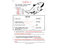 "Sharks" Worksheet Packet by Teach Simple