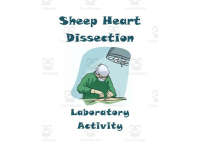 Sheep Heart Dissection Lab ~ Anatomy and Physiology by Teach Simple