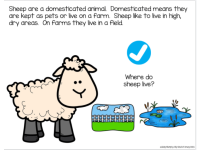 Sheep Life Cycle Adapted Book by Teach Simple