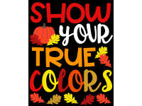 Show Your True Colors Positive Mindset Bulletin Board Kit, Door ...