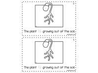 Sight Word Emergent Reader: The Plant Life Cycle Printable Booklet ...