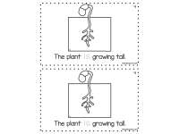 Sight Word Emergent Reader: The Plant Life Cycle Printable Booklet ...