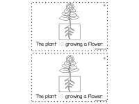 Sight Word Emergent Reader: The Plant Life Cycle Printable Booklet ...