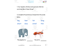 Sizes ESL Lesson Plan For Kids and Early Learners by Teach Simple