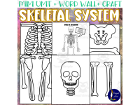 Skeletal System Unit with Word Wall and Craft by Teach Simple