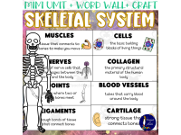 Skeletal System Unit with Word Wall and Craft by Teach Simple