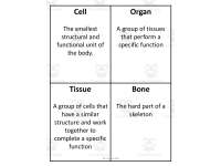 Skeletal System Vocabulary Bingo by Teach Simple