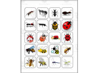 Sorting BUGS- Non-Identicals by Teach Simple