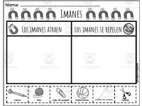 Spanish and English: All About Magnets by Teach Simple