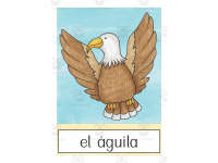 Spanish: Animals Flash Cards by Teach Simple
