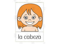 Spanish: Body Parts Flash Cards by Teach Simple