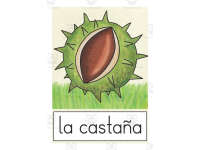 Spanish: Fall Flash Cards by Teach Simple