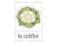 Spanish: Fruits & Vegetables Flash Cards by Teach Simple