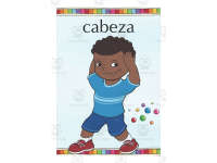 Spanish: Head, Shoulders, Knees & Toes Flash Cards by Teach Simple