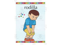 Spanish: Head, Shoulders, Knees & Toes Flash Cards by Teach Simple