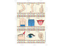 Spanish: I Have Who Has? | Body Parts Card Game by Teach Simple